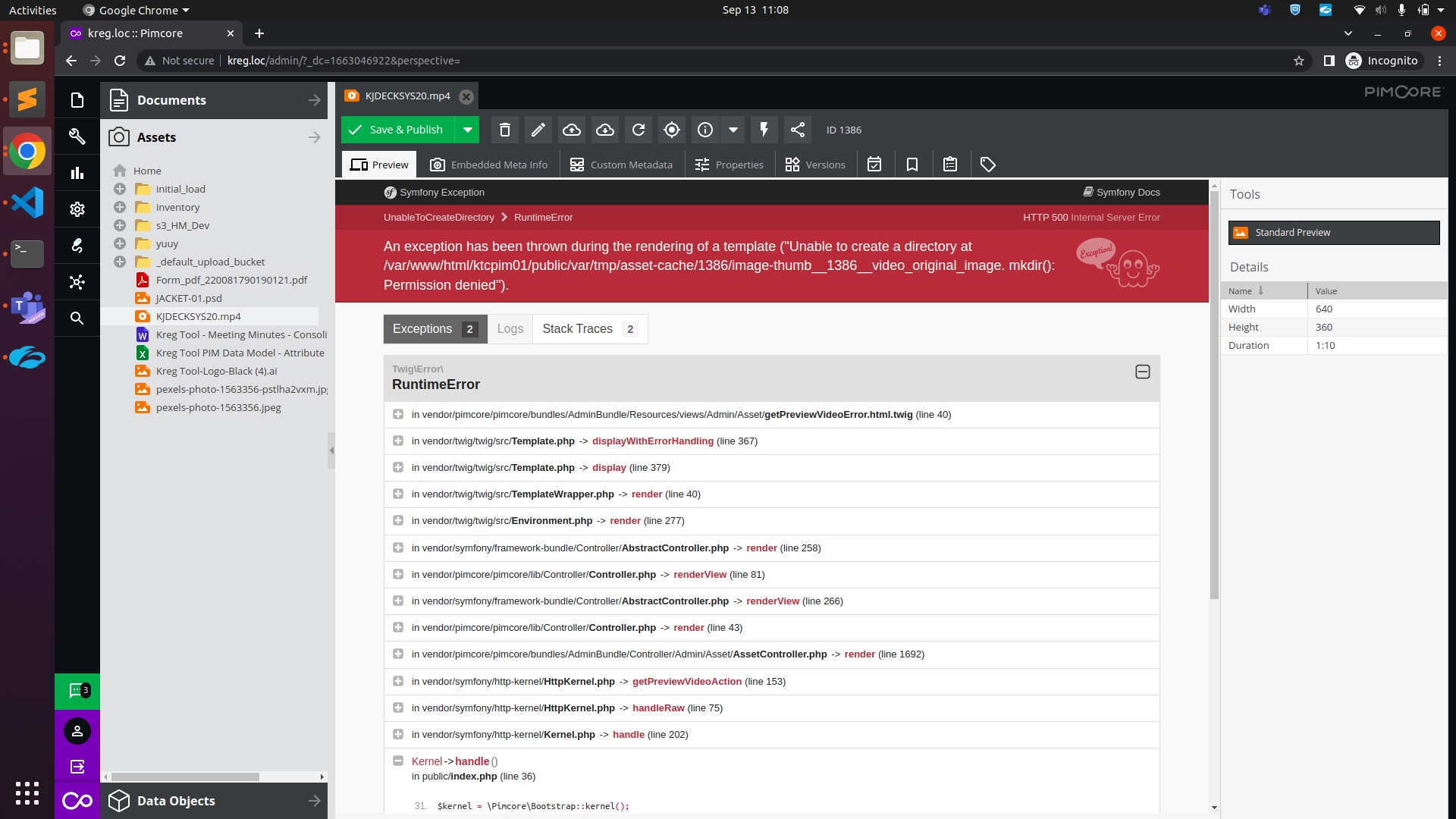 [Bug]: Unable to open uploaded video on first time · Issue #13137 · pimcore/pimcore · GitHub