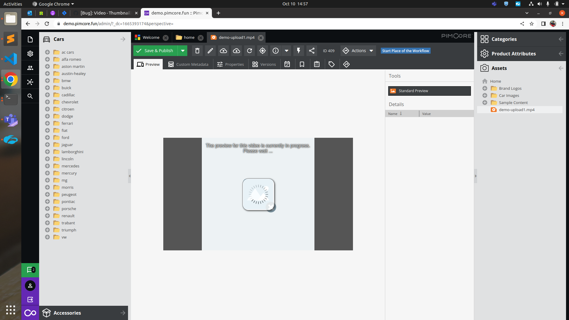 [Bug]: Video - Thumbnail is not generated · Issue #13337 · pimcore/pimcore · GitHub