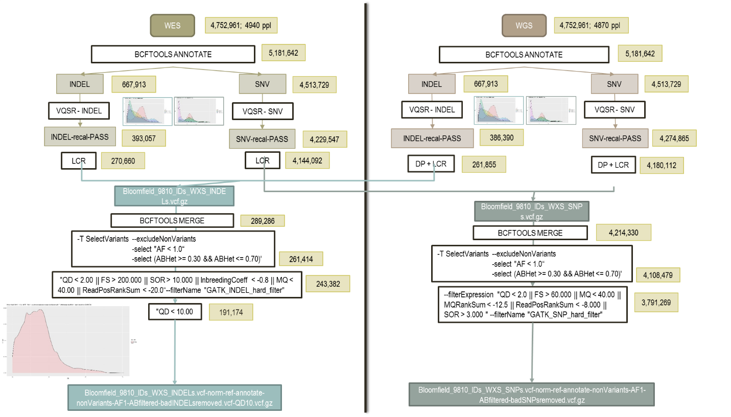 GitHub - achalneupane/NGS-Data-Analysis-Pipeline-Docker