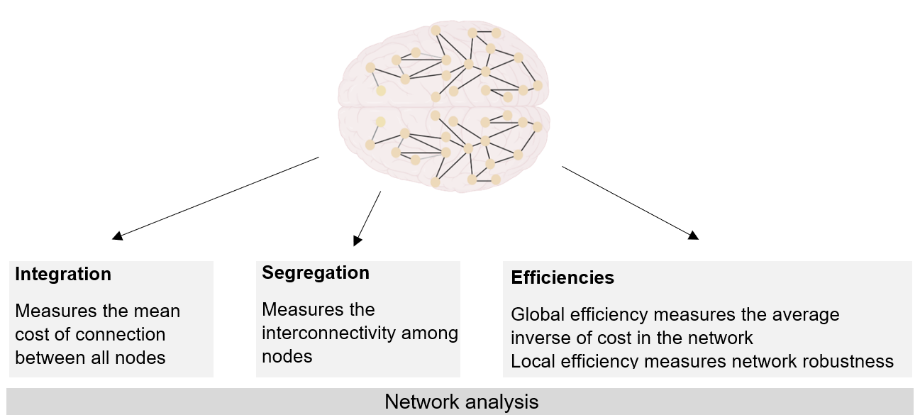GitHub - FRramon/NetworkConhect