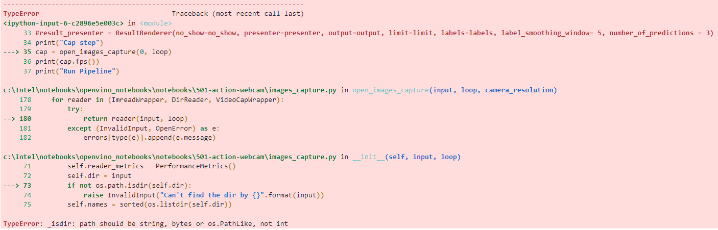 Live Streaming with image_capture.py (action-human-recognition/python ...