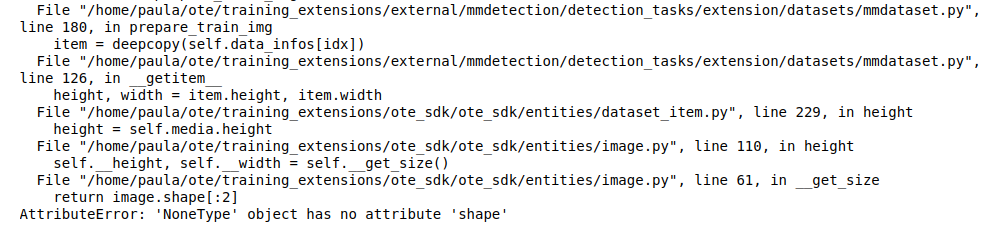 AttributeError: Caught AttributeError in DataLoader worker process 0. · Issue #1061 · open-edge ...