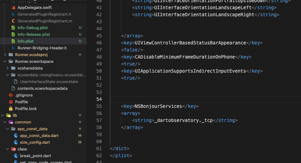 Lost connection to device · Issue #5686 · flutter/devtools · GitHub