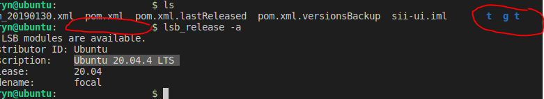 Terminal display problem · Issue #147390 · microsoft/vscode · GitHub