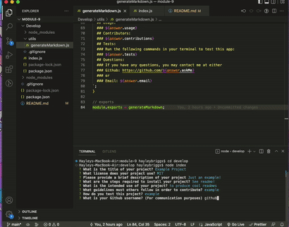 GitHub - Briggoh/Professional-README-Generator: A simple application that allows a user to ...