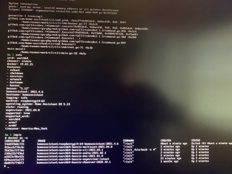 Homeassistant Container Dies Without Reporting An Error · Issue 49627 · Home Assistant Core