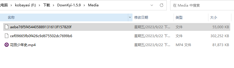 一些修改建议 · Issue #862 · leiurayer/downkyi · GitHub