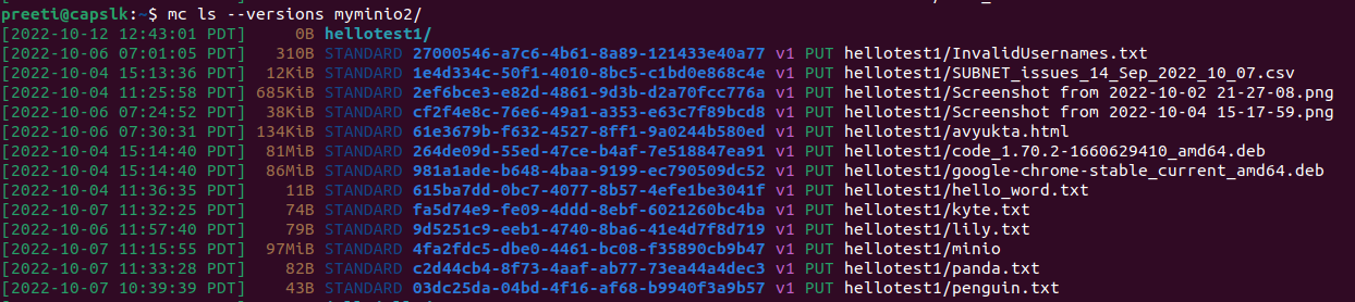 Batch Replication Fails To Replicate Object Versions On The Target · Issue 4299 · Minio Mc · Github