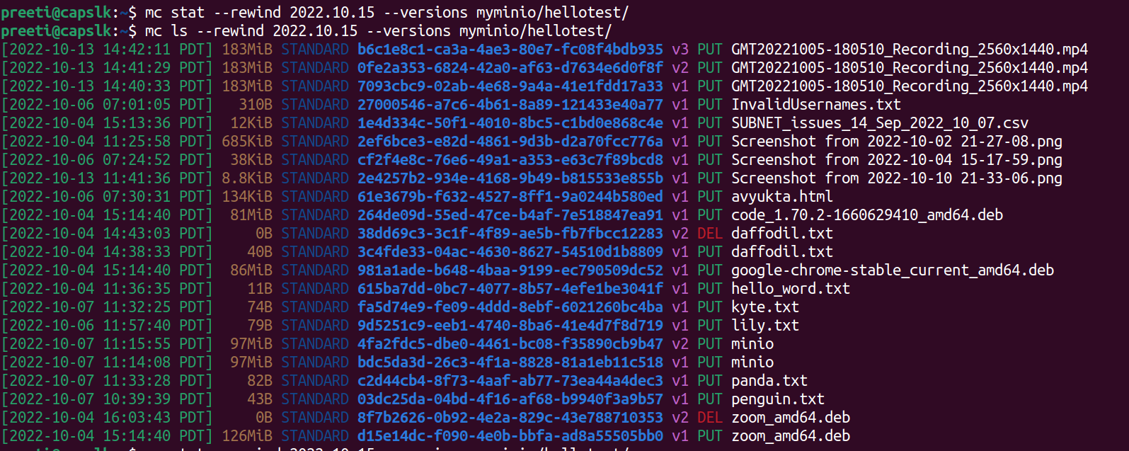 mc stat --rewind flag isnt working intended · Issue #4315 · minio/mc · GitHub