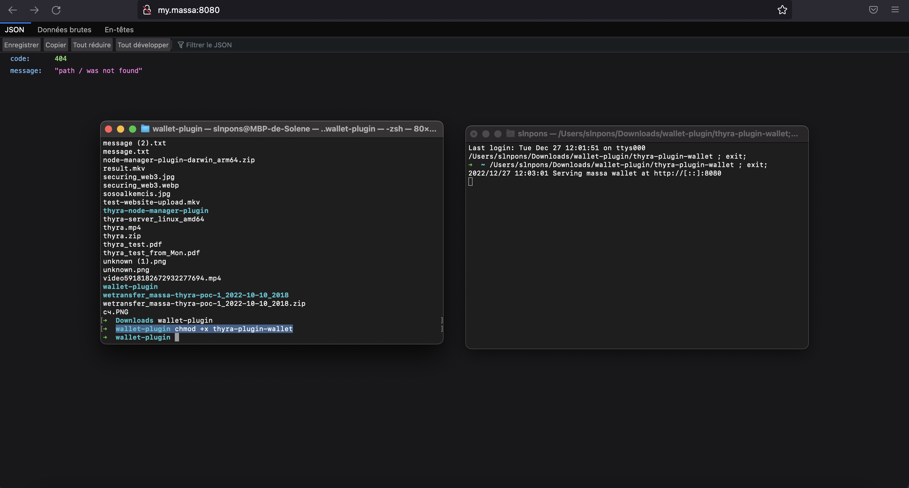 Write a script called build.sh that will create the thyra-plugin-wallet Binary, taking in two ...