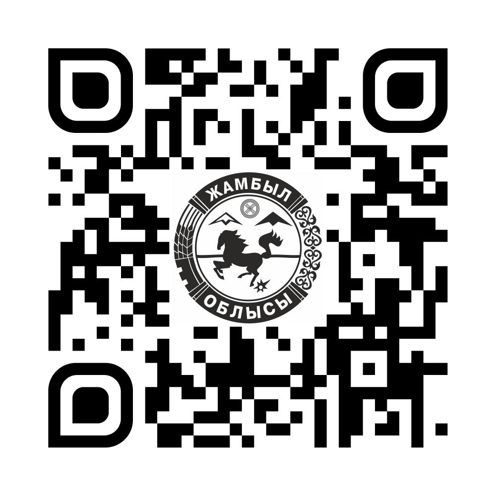 How i can get Metadata from QR code? · Issue #238 · micjahn/ZXing.Net · GitHub