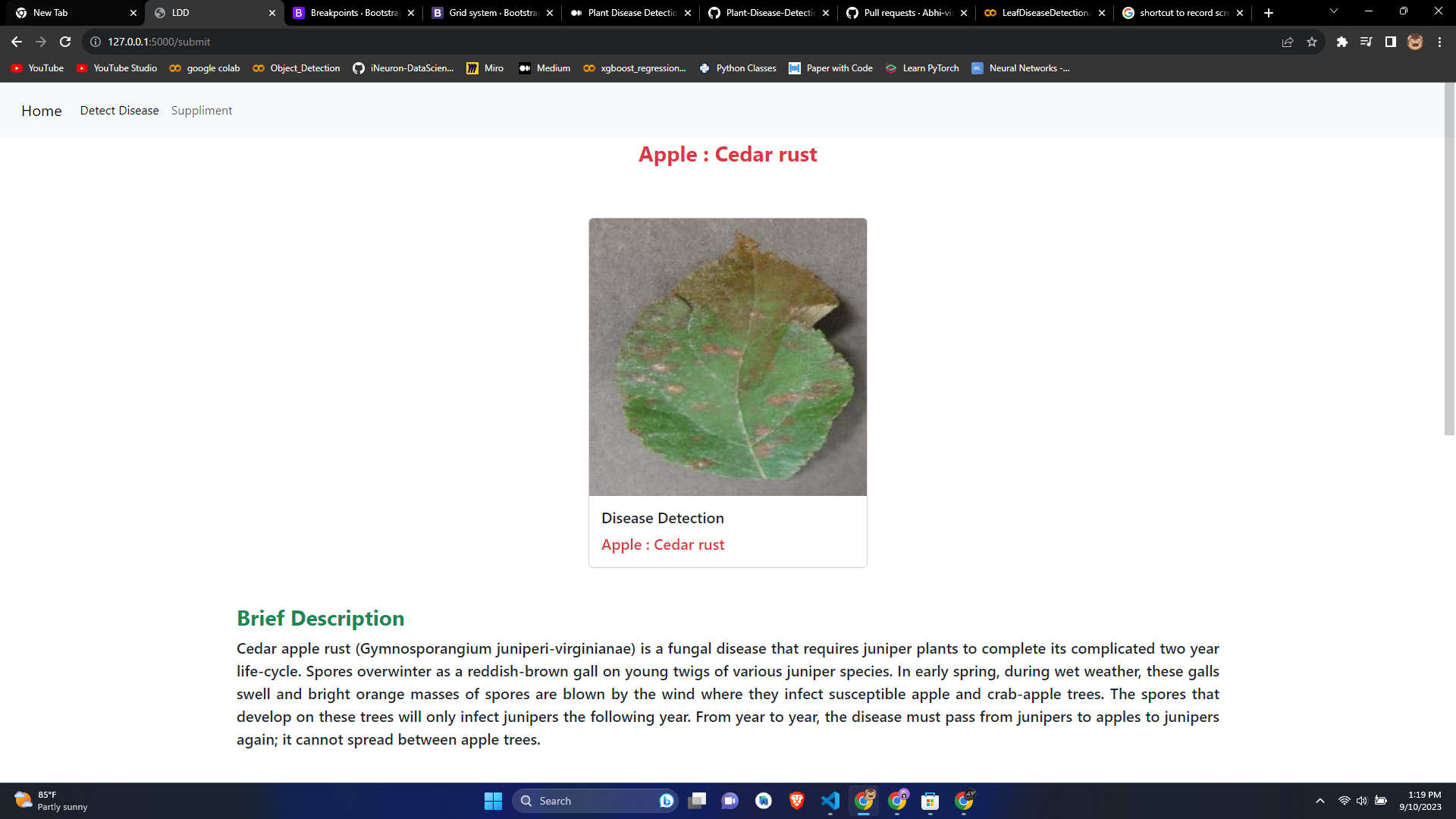 GitHub - Abhi-vish/Leaf-Disease-Detection