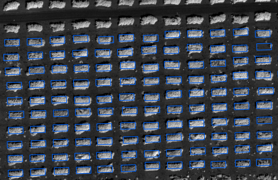 GitHub - AliBgisrs/Vegetation-indices-calculator: if you need the ...