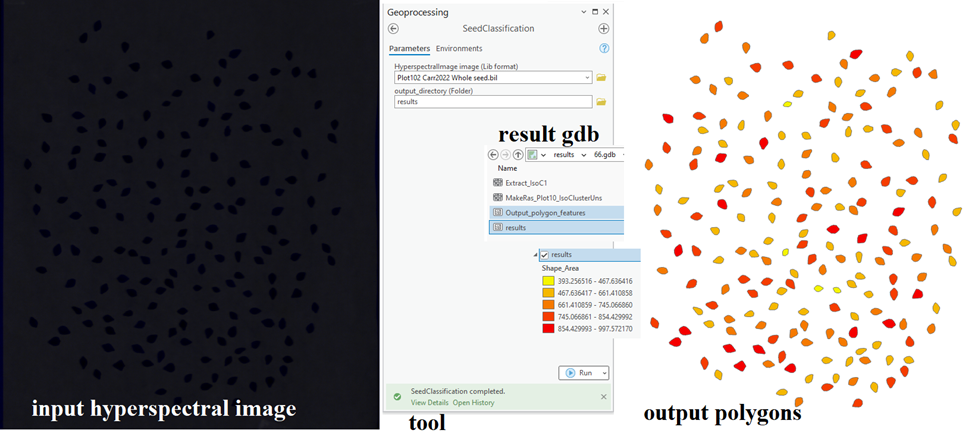 GitHub - AliBgisrs/Seed-Classification-Using-Hyperspectral-Image