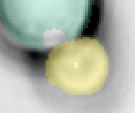 Changes in Brush/Eraser Tools? Delay in screen updating? · Issue #44 ...