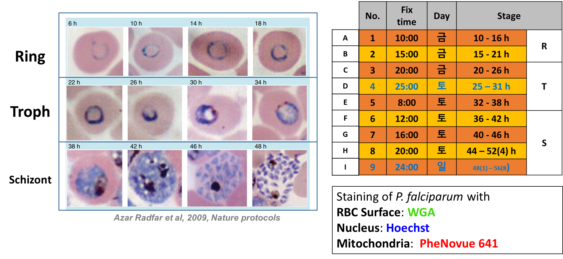 GitHub - Tactical-BTC/MALanalysis