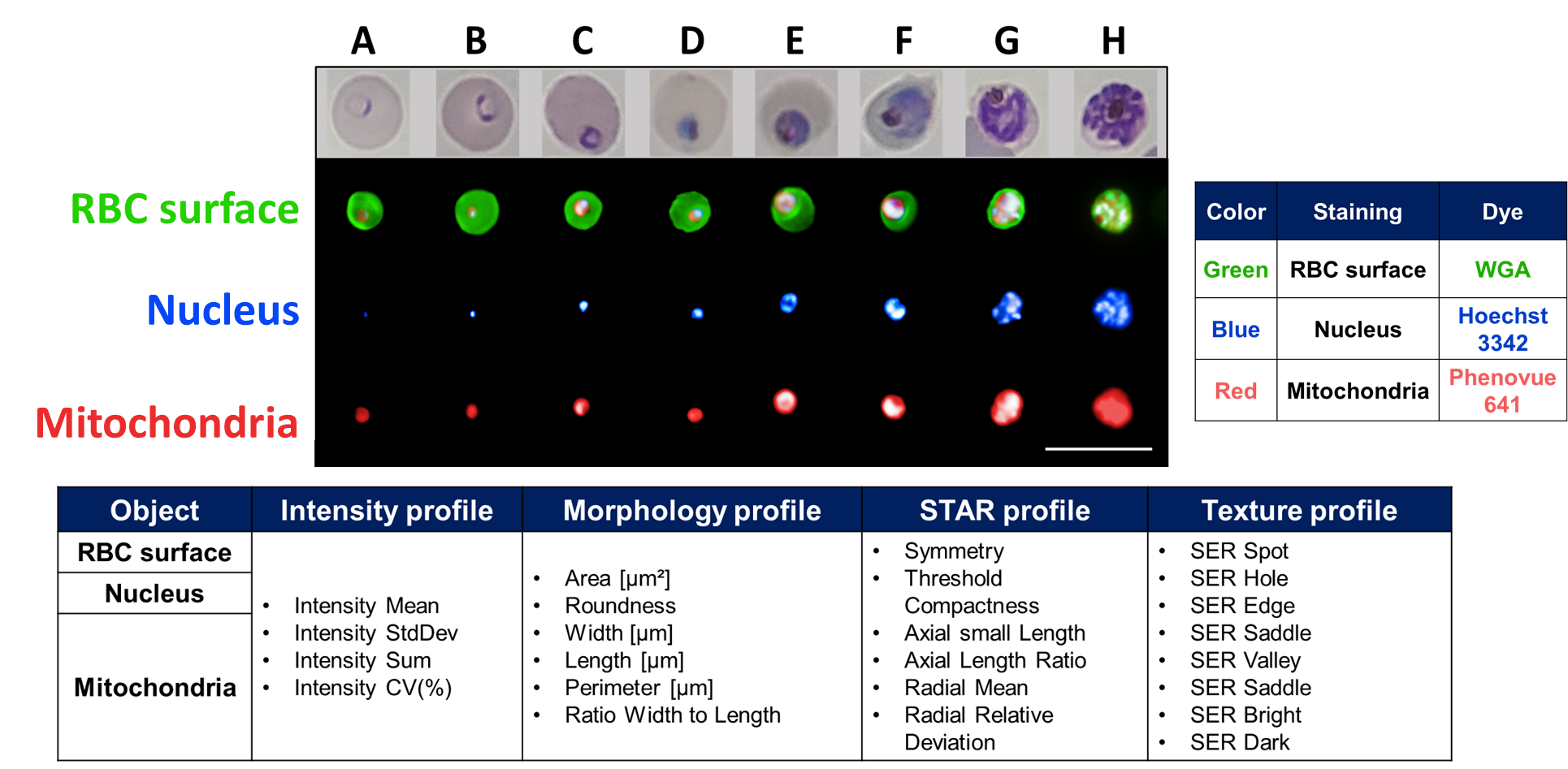 GitHub - Tactical-BTC/MALanalysis