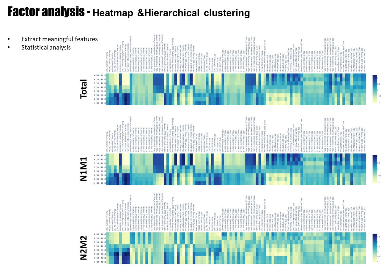 GitHub - Tactical-BTC/MALanalysis