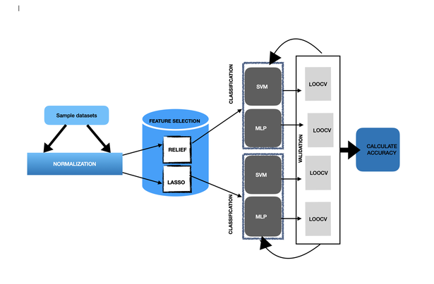 Github Prantopodder98 Dna Microarray Gene Expression Data Classification Using Svm Mlp And Rf
