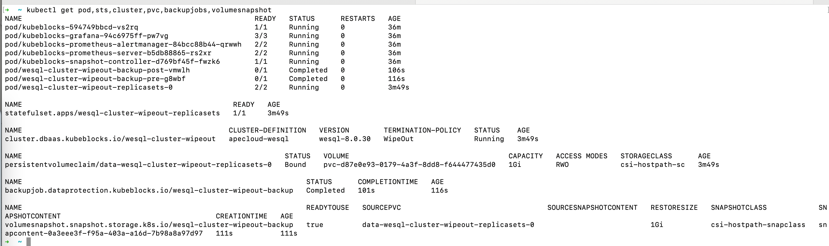 [BUG] volumesnapshot was not deleted when deleting the cluster terminationPolicy is wipeout ...