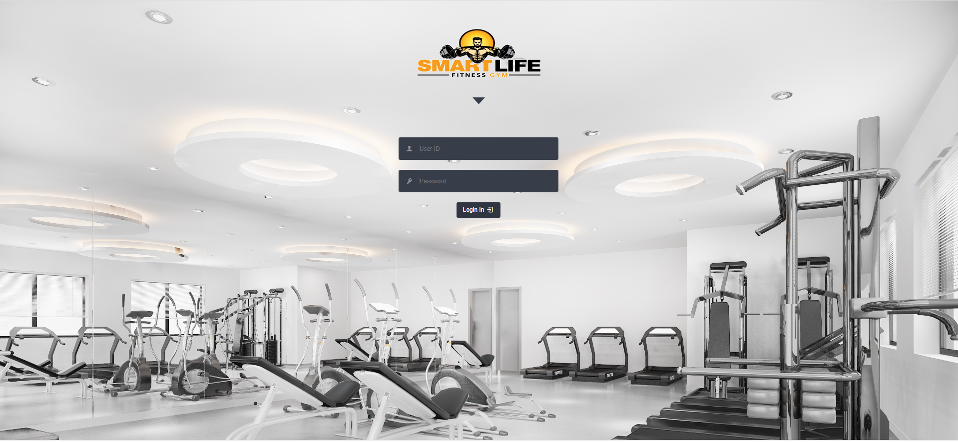 GitHub - AliSher110/Gym-Management-Web-App: an Gym management System in ...