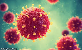 GitHub - Ajaynawalkar/Hepatitis-Detection-ML-Model: Using python machine learning model for ...