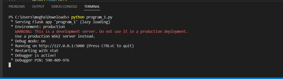 Terminal is very slow , it is lagging a lot and does not display output ...