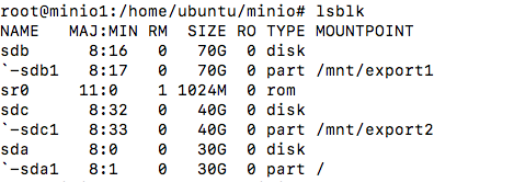 Error: Invalid command line arguments server=‘:9000’, args=[/mnt/export1/ /mnt/export2/] · Issue ...