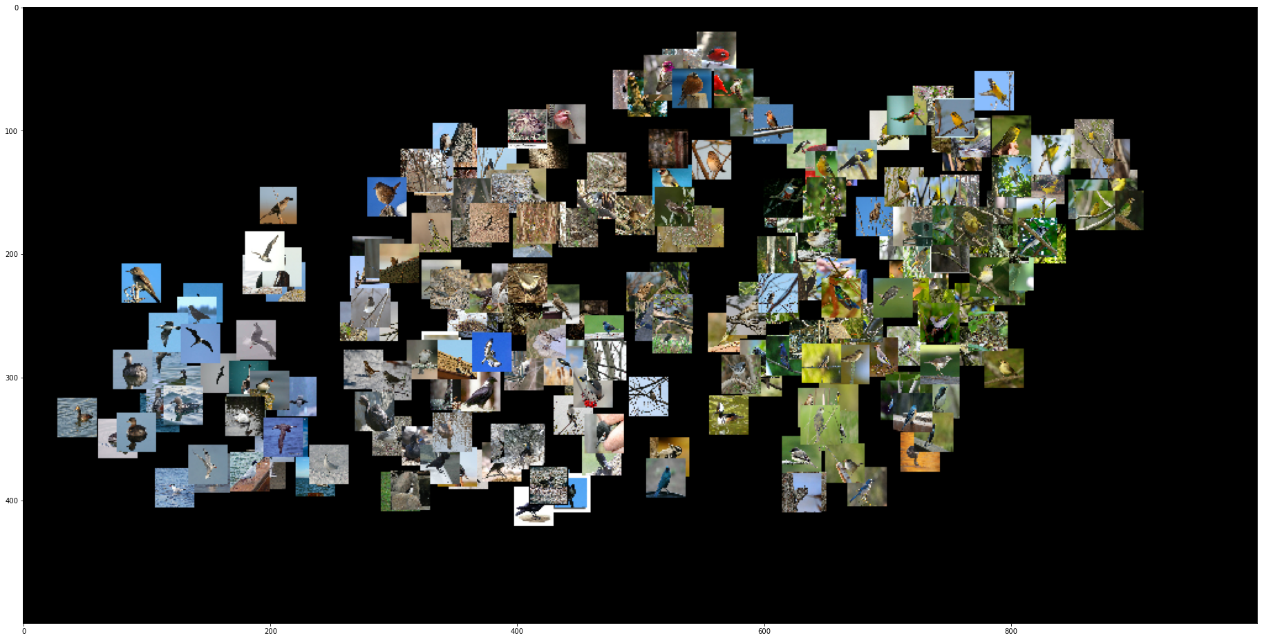 GitHub - MahmoudYahiaAhmed/Birds-Classification