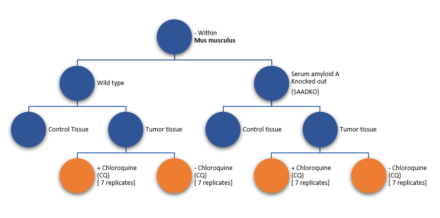 Advise on file labeling (IonQuant + MBR) before MSFragger LFQ Search ...