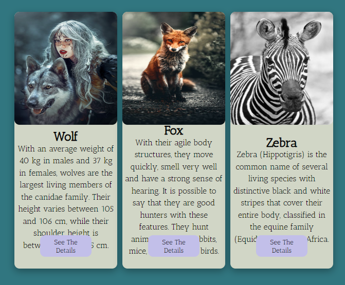 GitHub - Alioglumusa/REACT-Basic-Project: REACT