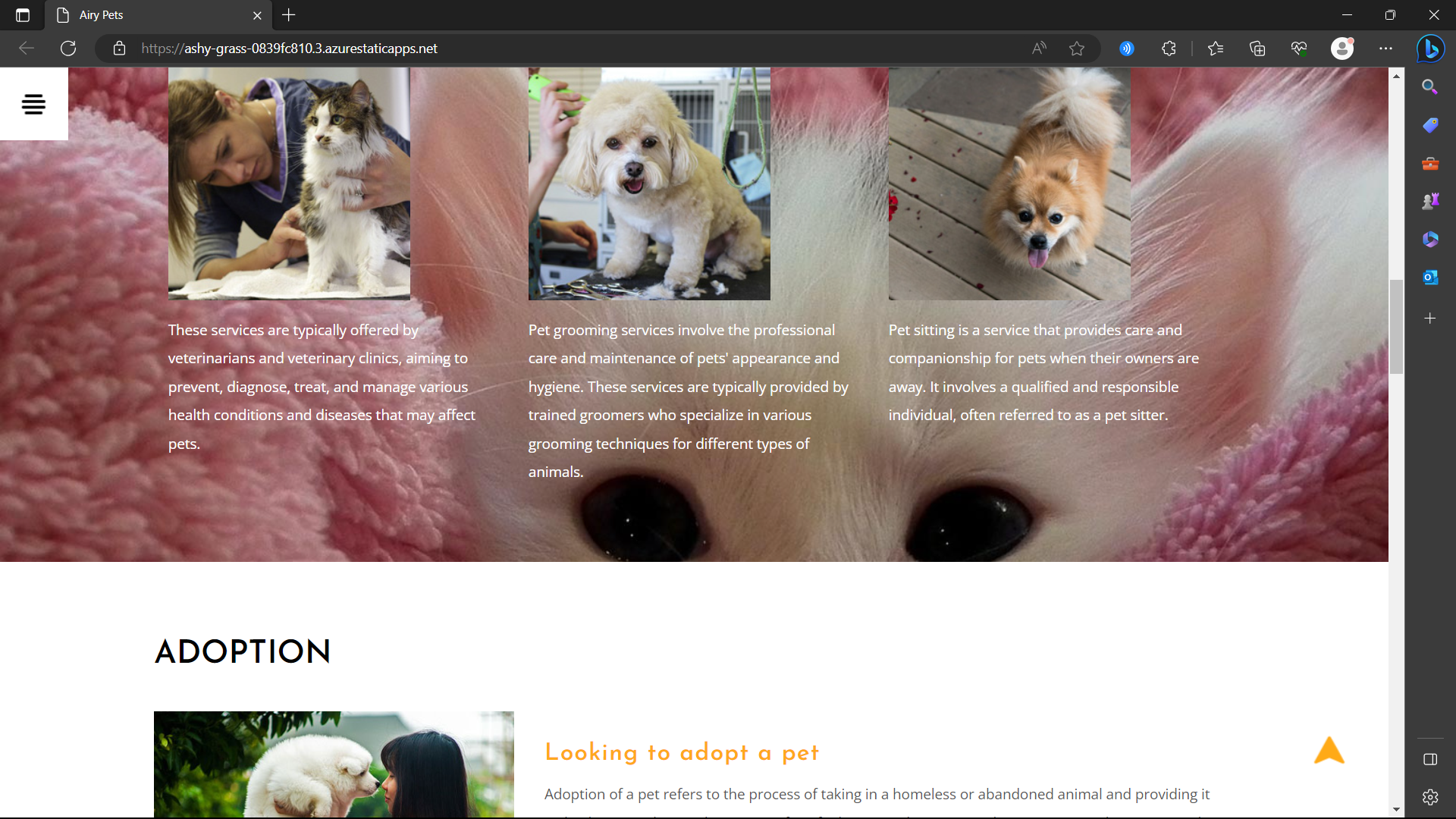 GitHub - nandukishore23/FRT-_PROJECT: AIRY_PETS(PET ADOPTION