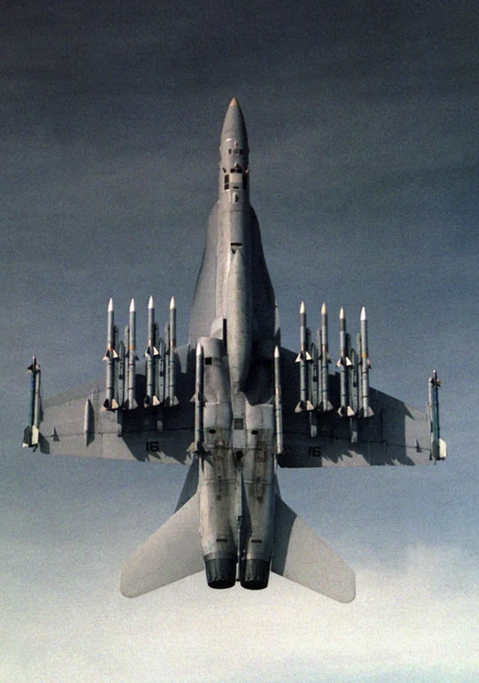 Max AMRAAM load for F/A-18A-D Legacy Hornet · Issue #3193 ...