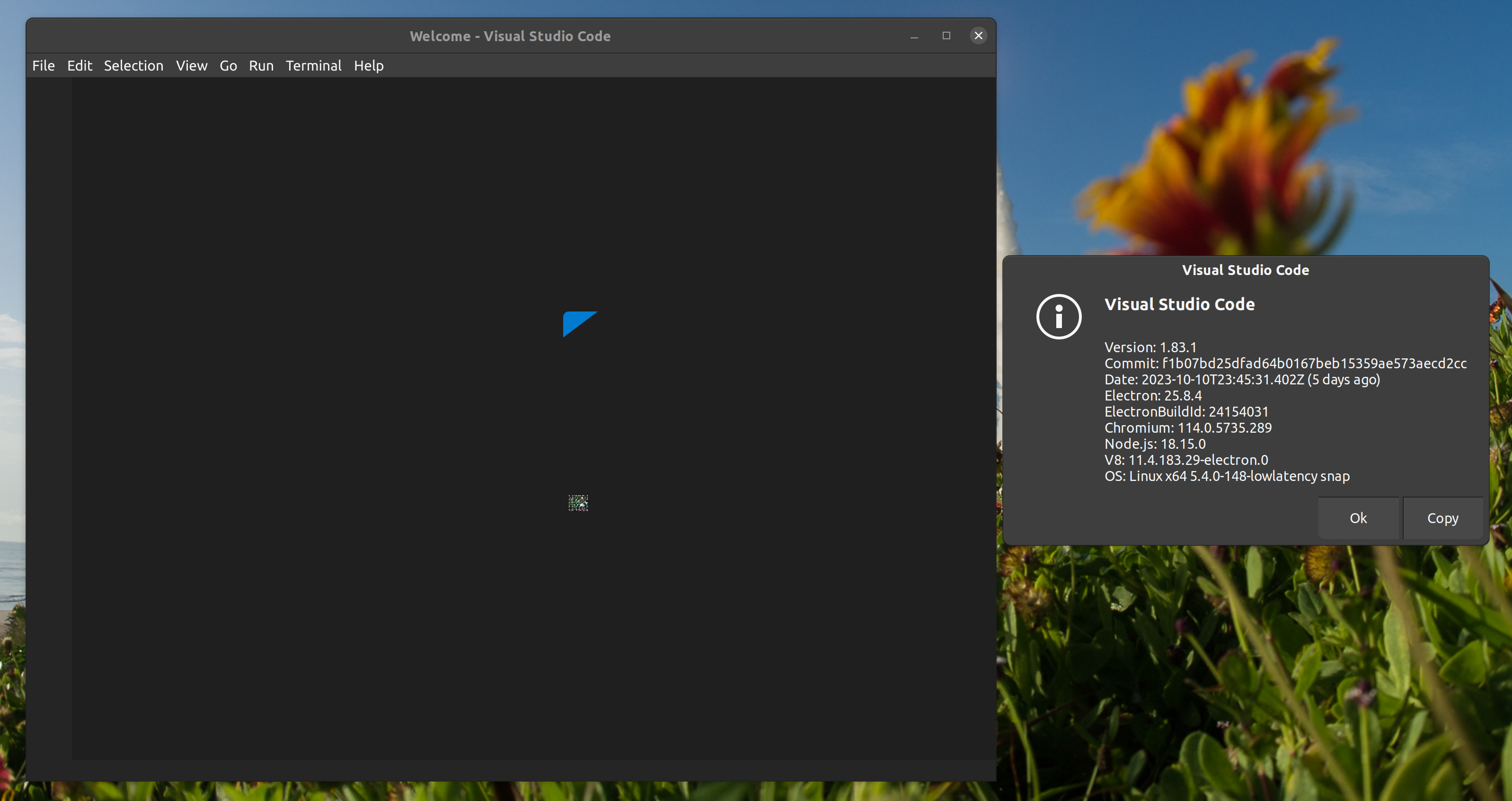 GUI error · Issue #195717 · microsoft/vscode · GitHub