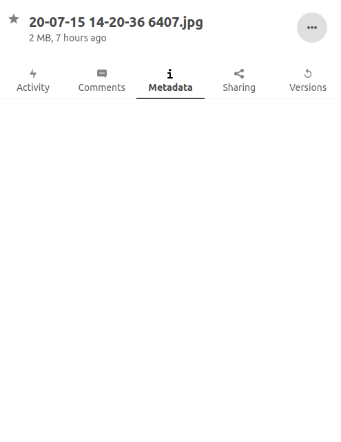 Empty metadata for jpeg image · Issue #64 · gino0631/nextcloud-metadata · GitHub