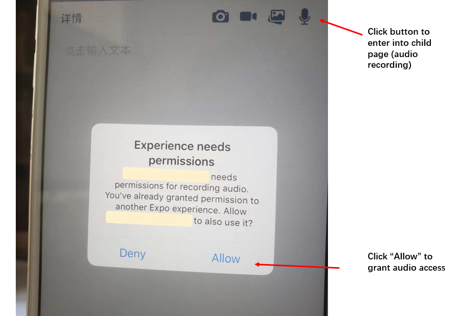 After get permission via Audio.requestPermissionsAsync(), no following page is rendered (IOS ...