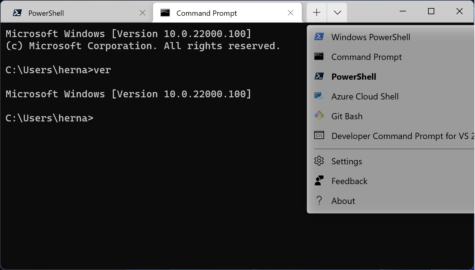Wrong opacity in menus and right context menus in Windows Build 22000. ...