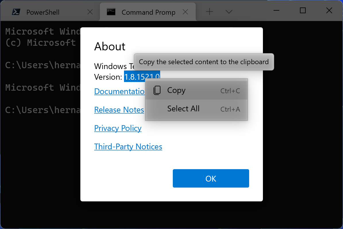 Wrong opacity in menus and right context menus in Windows Build 22000. ...
