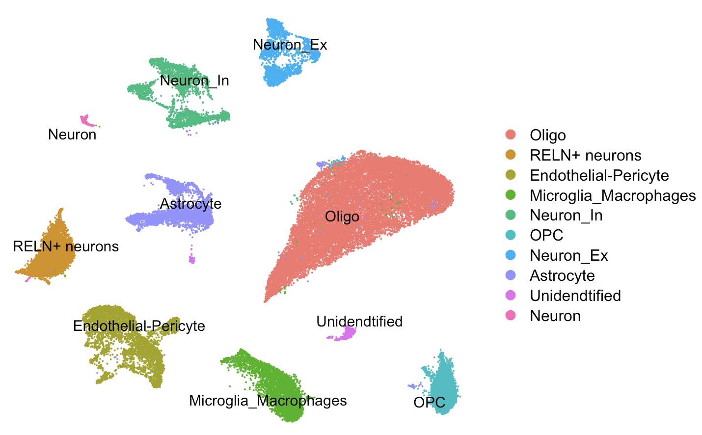 Could The Detection Of Oligodendrocytes Be Possibly Improved Issue