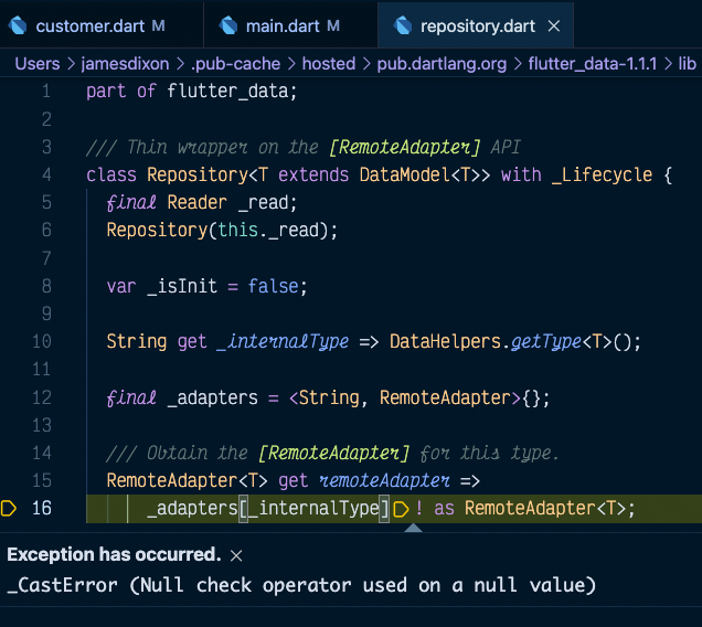Reinitialization Error · Issue 133 · Flutterdata Flutter Data · Github