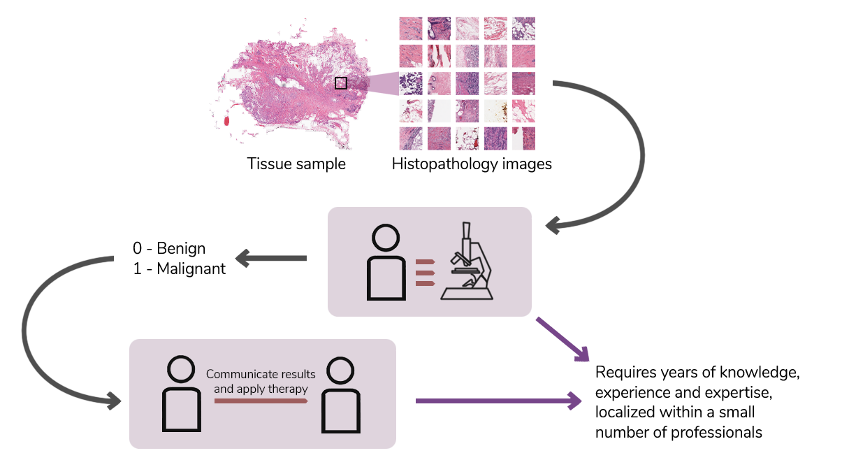 GitHub - tamdaominh0218/Breast-cancer-classification-using-Deep ...