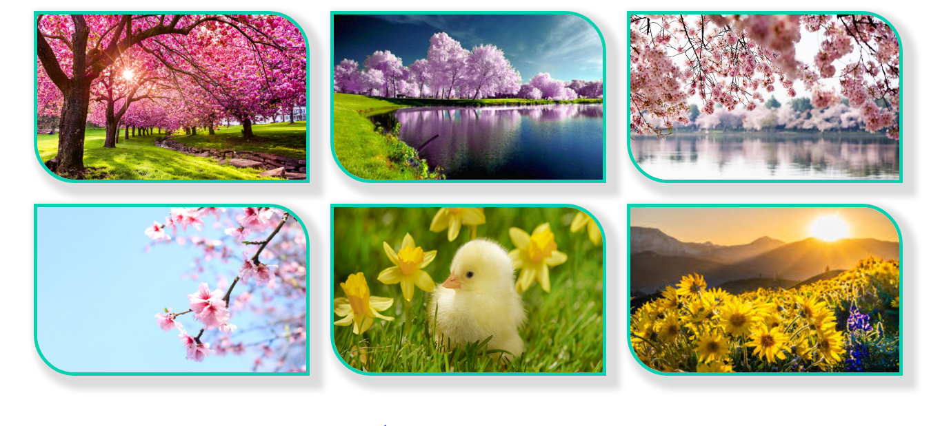 GitHub - MahsumaRezai/spring