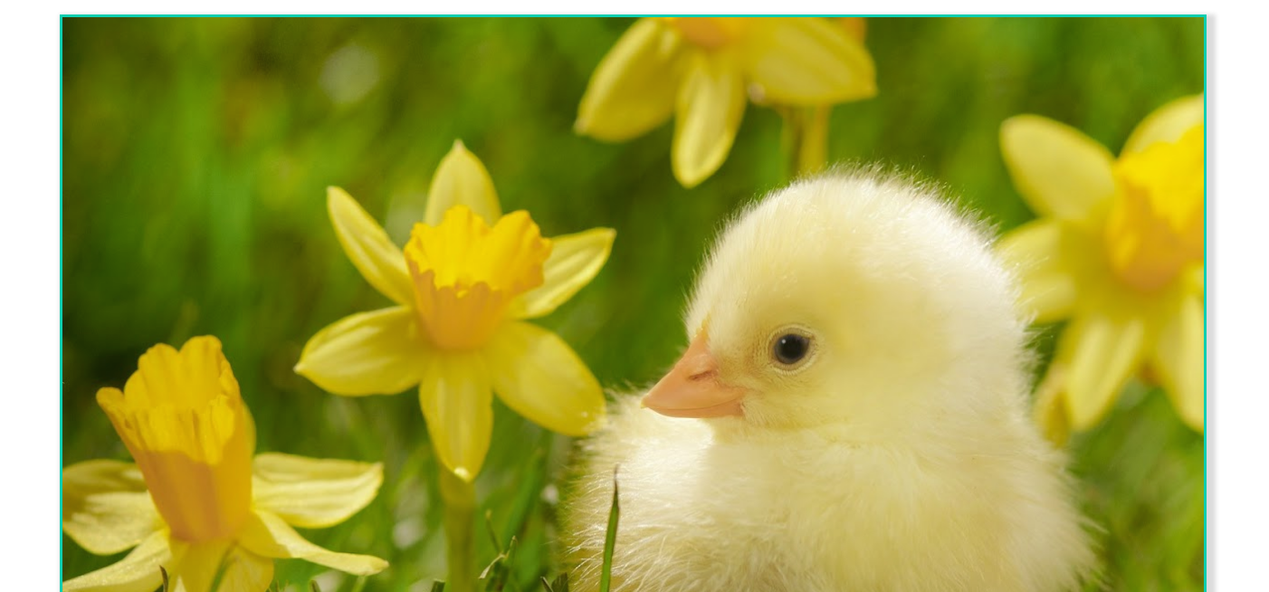 GitHub - MahsumaRezai/spring