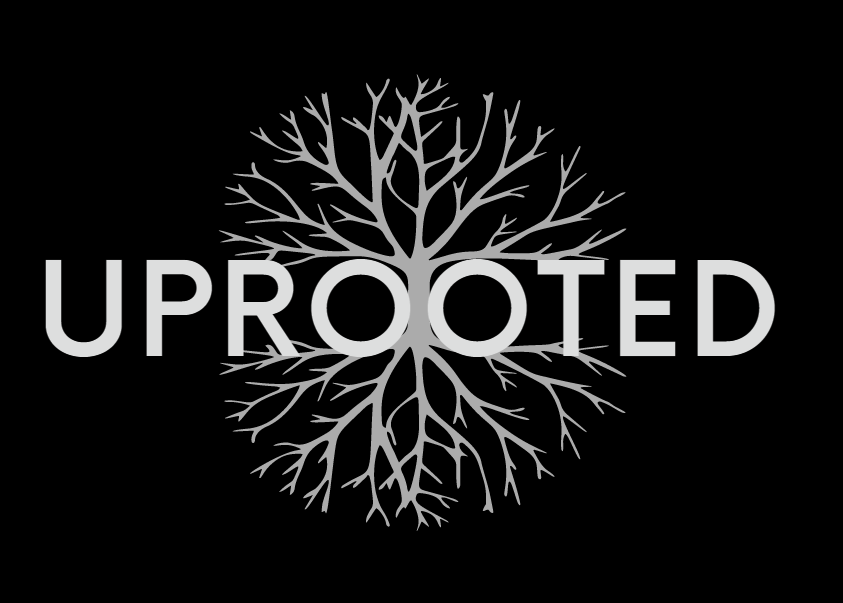 GitHub - blujay/newneighbour