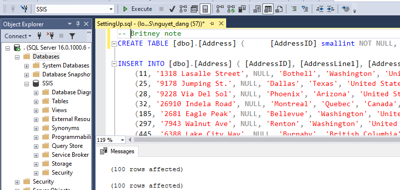 GitHub - britneydang/HandsonProject_SSIS