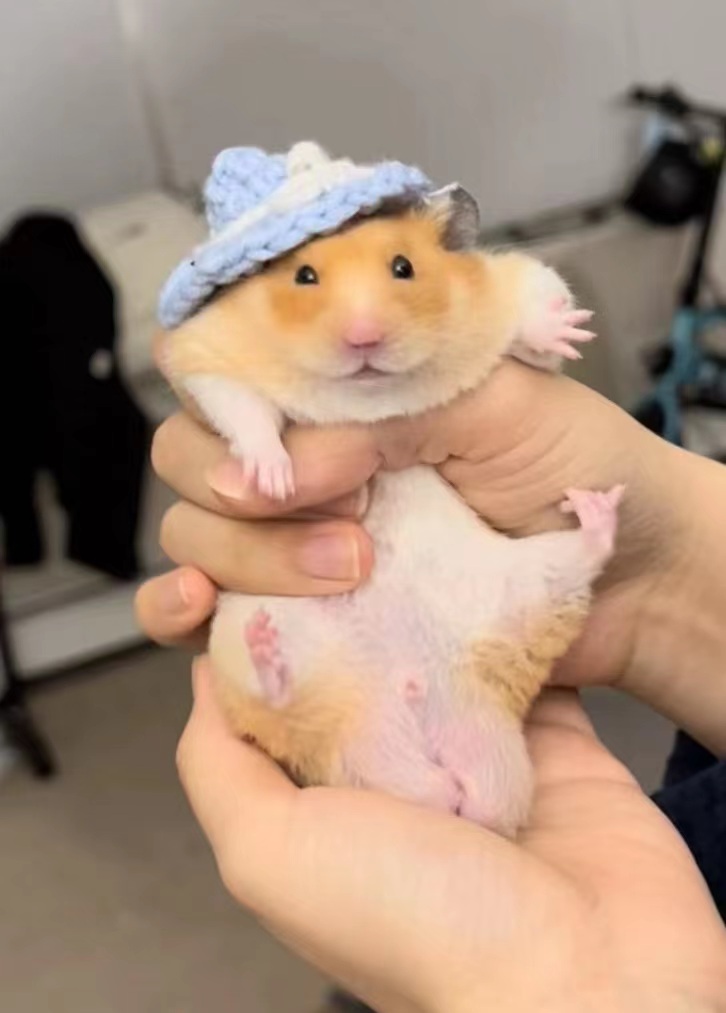 GitHub - jiayao09/Night_Light: Multiple-purpose nightlight made for my ...