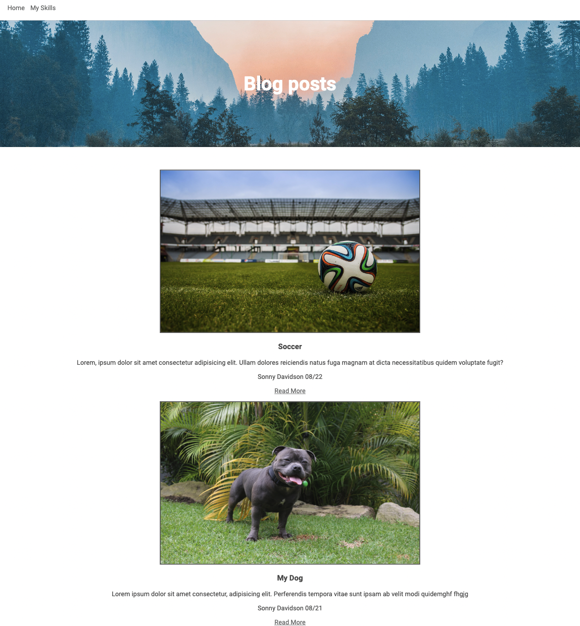 GitHub - sonnydavidson/Sonny-trial