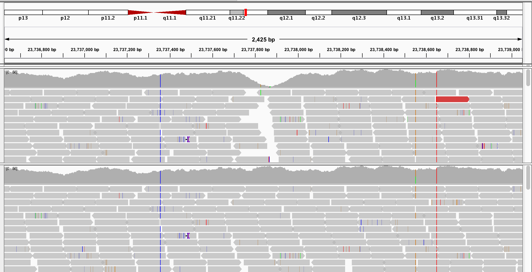 Adding Indels: addindel.py vs. addsv.py · Issue #110 · adamewing/bamsurgeon · GitHub