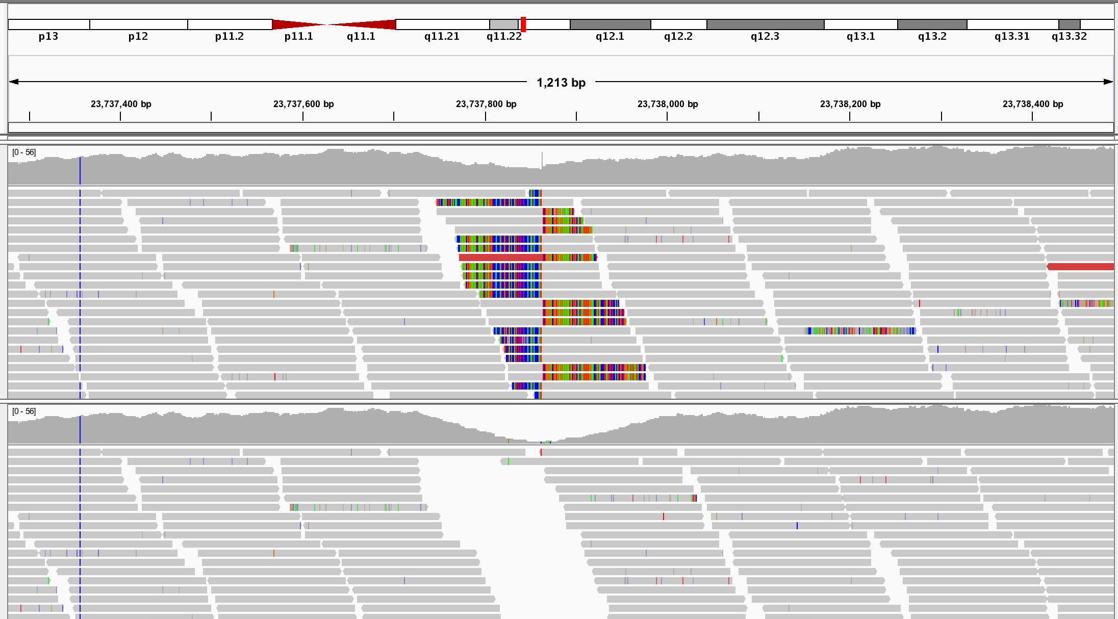 Adding Indels: addindel.py vs. addsv.py · Issue #110 · adamewing/bamsurgeon · GitHub