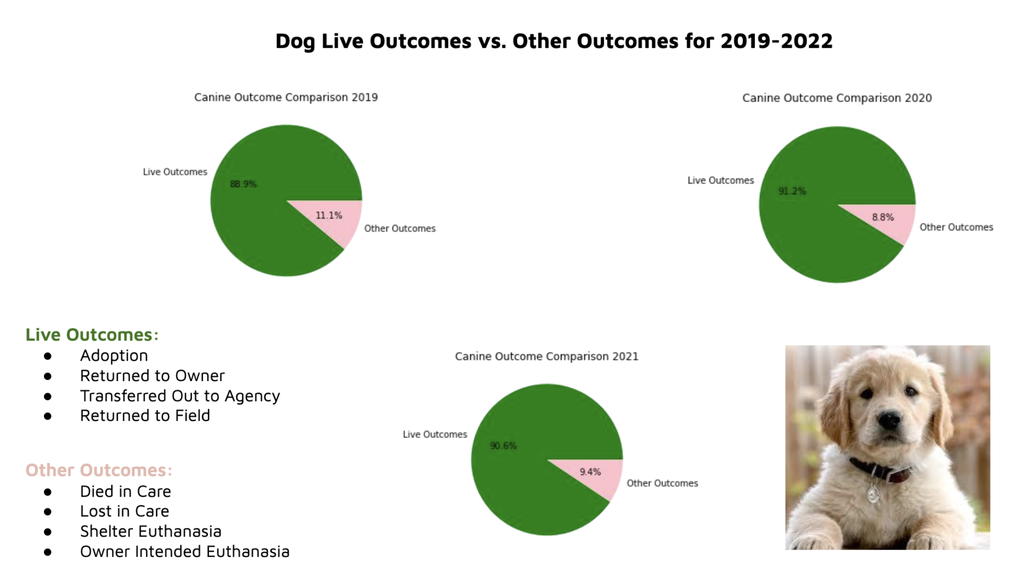 GitHub - Niurika/Animal-Shelters-Intakes-and-Outcomes: Looks into the ...